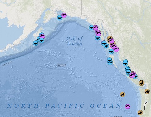 Geospatial Ecology of Marine Megafauna Laboratory