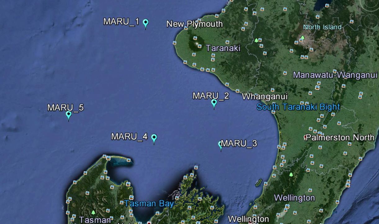 Eavesdropping on blue whales in New Zealand – Geospatial Ecology of ...