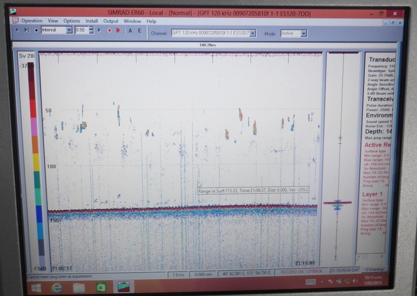 Scratching the Surface – Geospatial Ecology of Marine Megafauna Laboratory