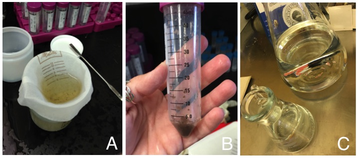Challenges of fecal analyses (Round 1) – Geospatial Ecology of Marine ...