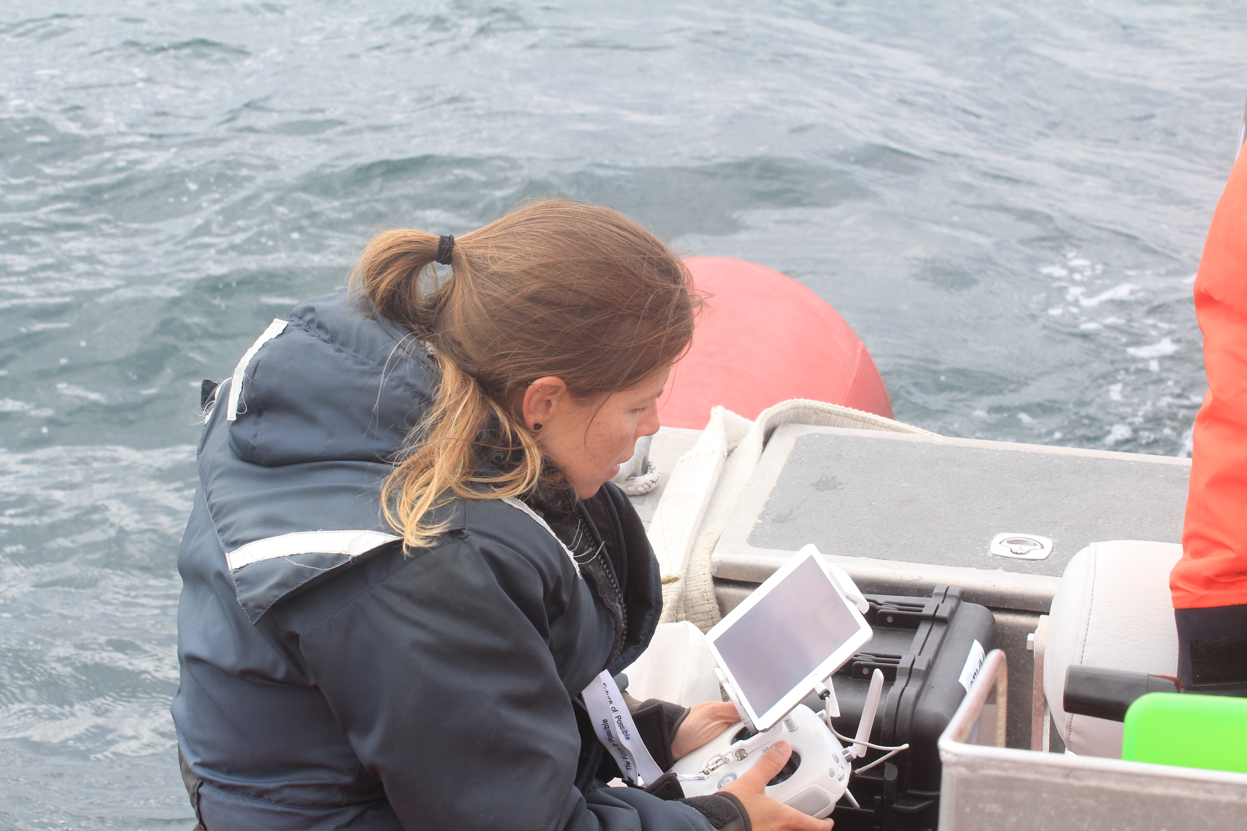 Geospatial Ecology of Marine Megafauna Laboratory