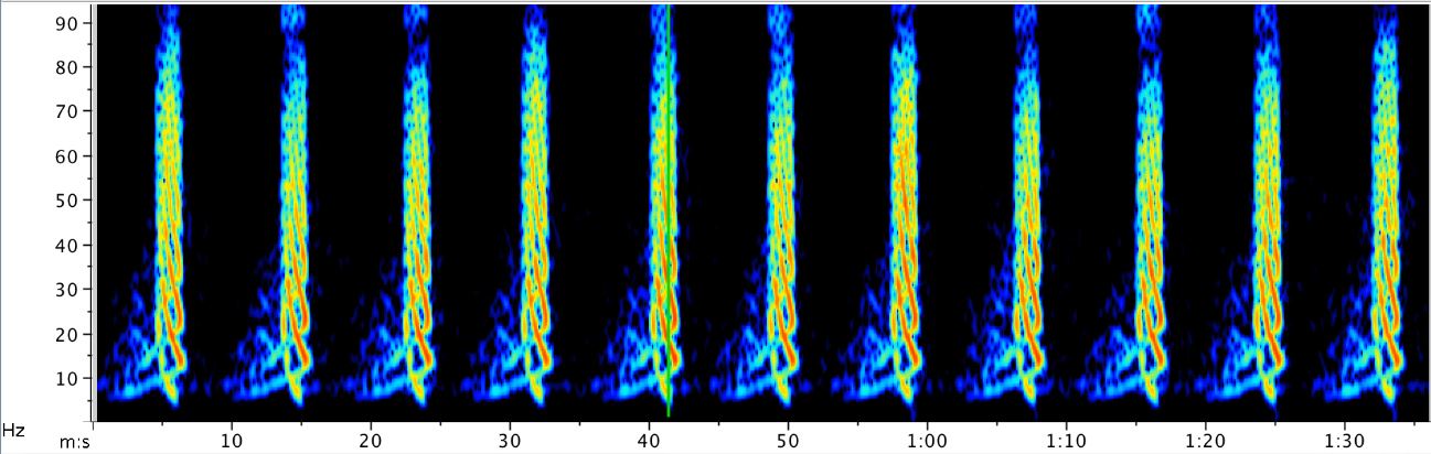 Spectrogram of seismic – Geospatial Ecology of Marine Megafauna Laboratory