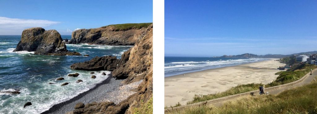 Experiencing the Oregon Coast – Geospatial Ecology of Marine Megafauna ...