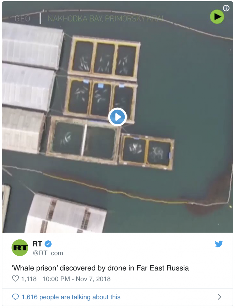 Ocean Jail – Geospatial Ecology of Marine Megafauna Laboratory