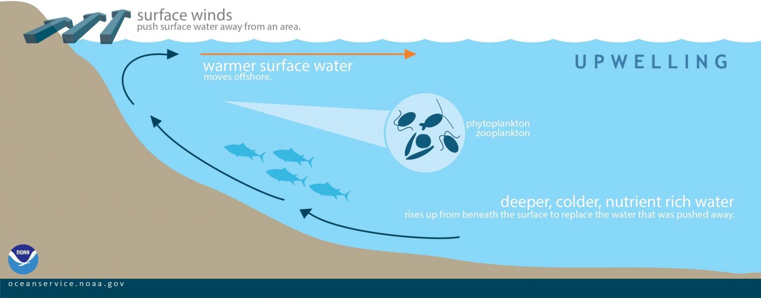It all starts with the wind: The importance of upwelling – Geospatial ...