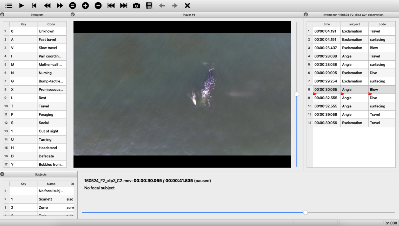 How we plan to follow whales – Geospatial Ecology of Marine Megafauna ...