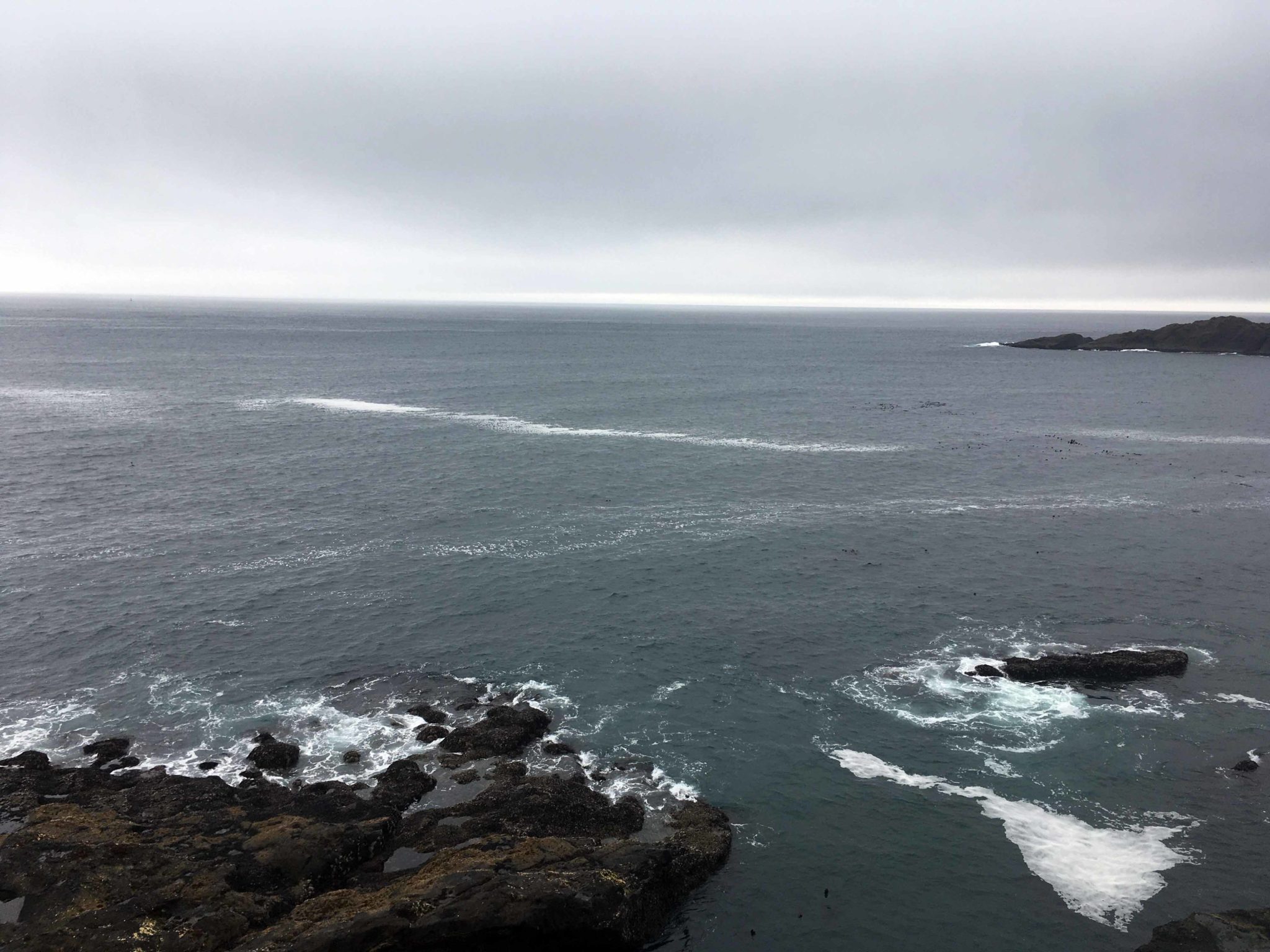 Cascadia 2020: Exploring Oregon via Zoom – Geospatial Ecology of Marine ...