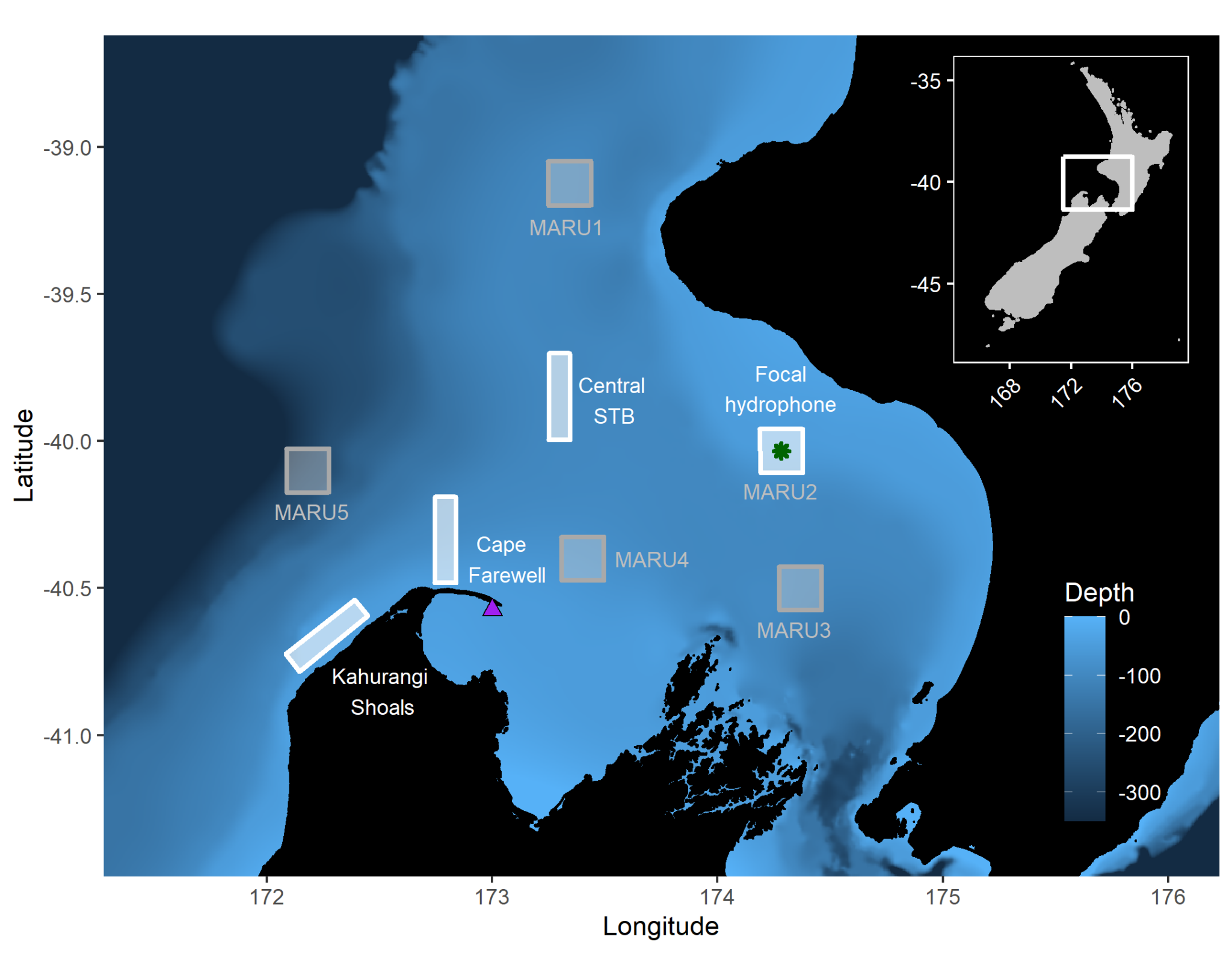 blue whale – Geospatial Ecology of Marine Megafauna Laboratory