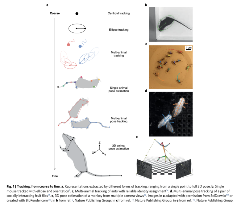 Geospatial Ecology of Marine Megafauna Laboratory – GEMM Lab blog