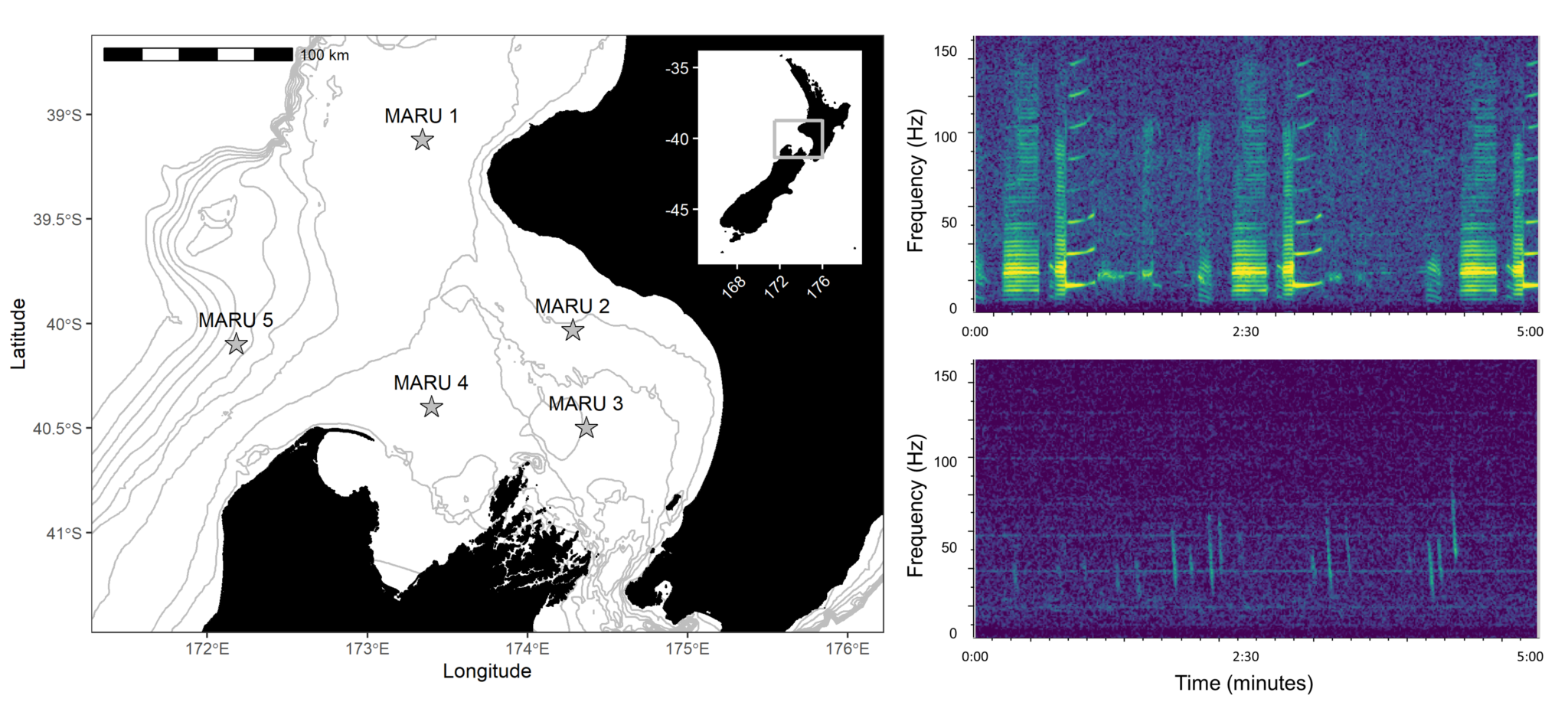 New GEMM Lab publication reveals how blue whale feeding and ...