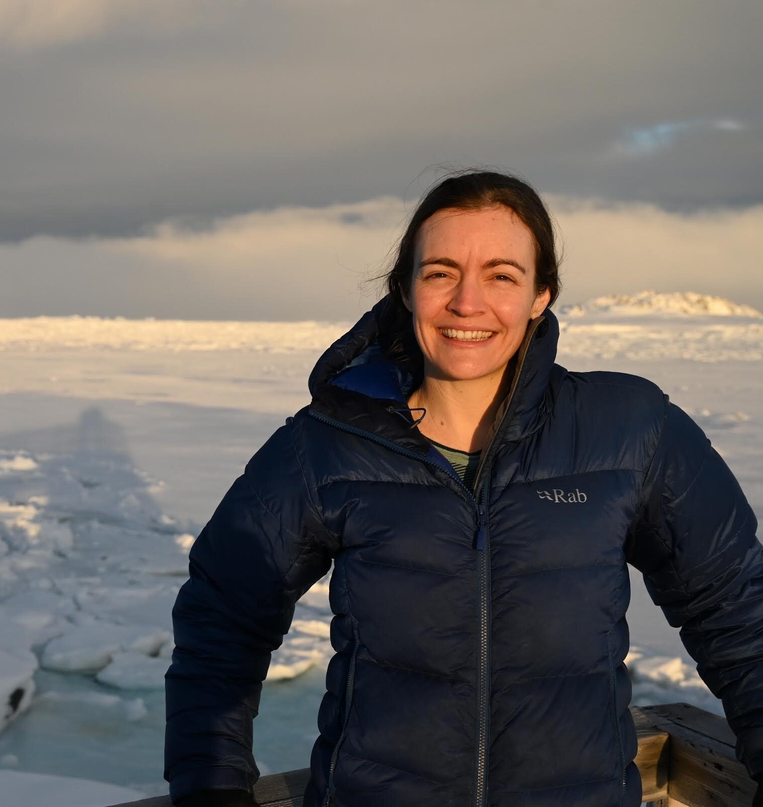 Blue whales, krill, and climate change: introducing the SAPPHIRE ...