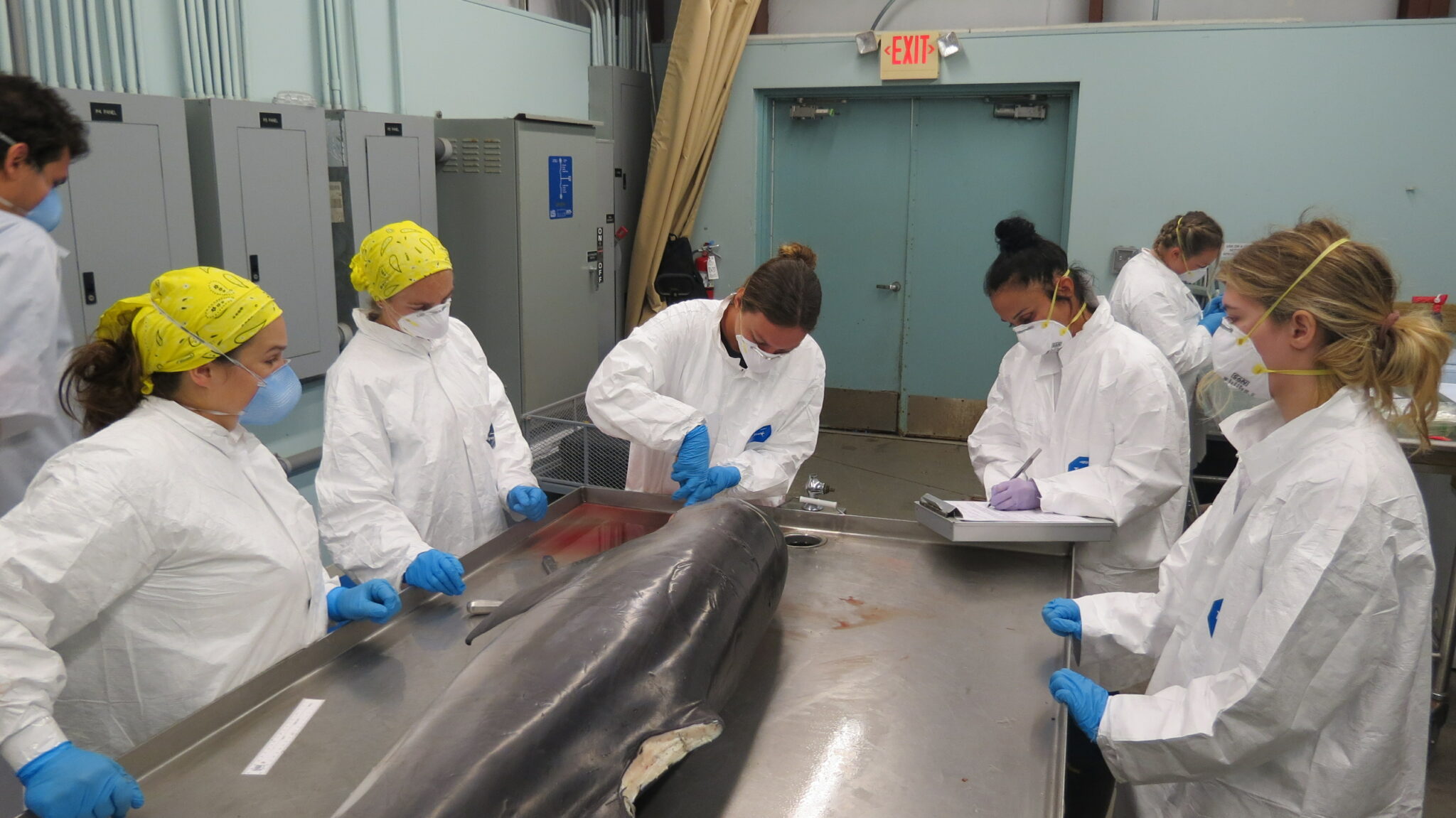 From coast to coast: assessing impacts of human threats and climate ...