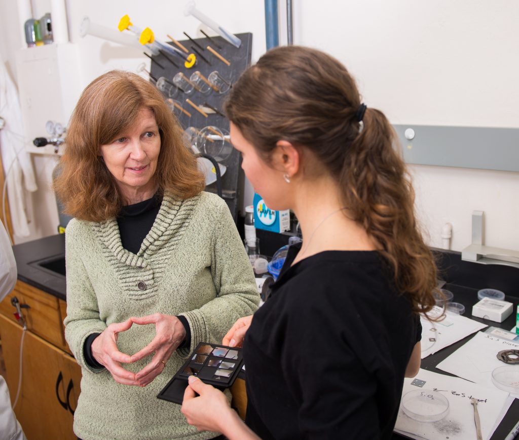 iMPACT | Alloying materials of different structures offers new tool for ...