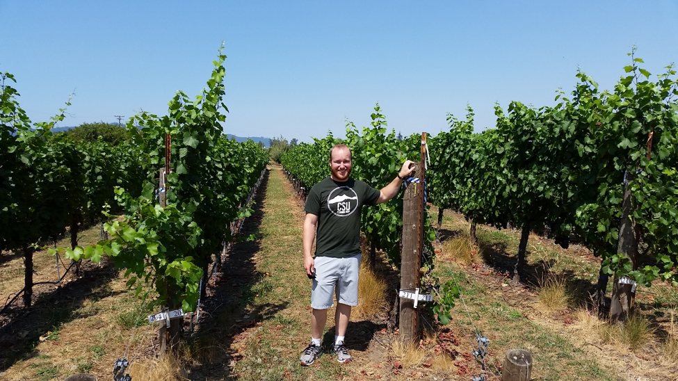 The Grape Depression: Powdery Mildew in Willamette Valley Vineyards ...