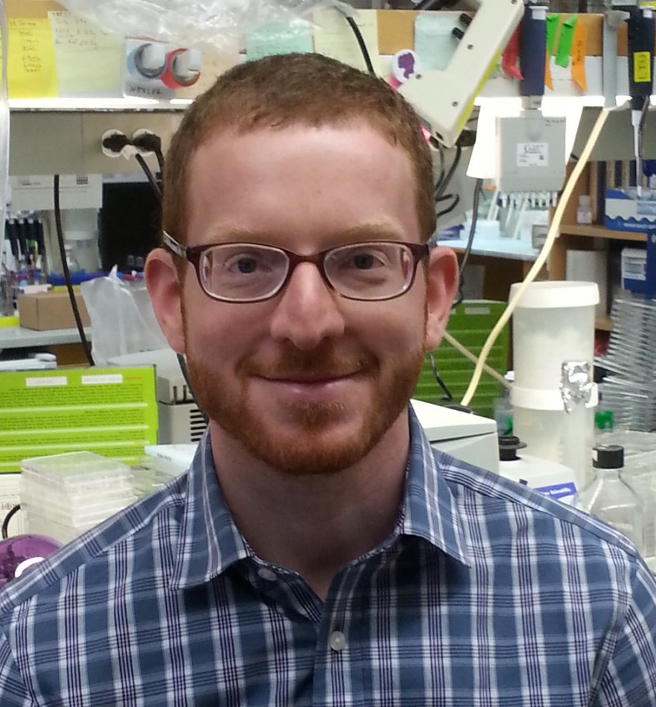 JasonStein – Physics: Schellman Research Group