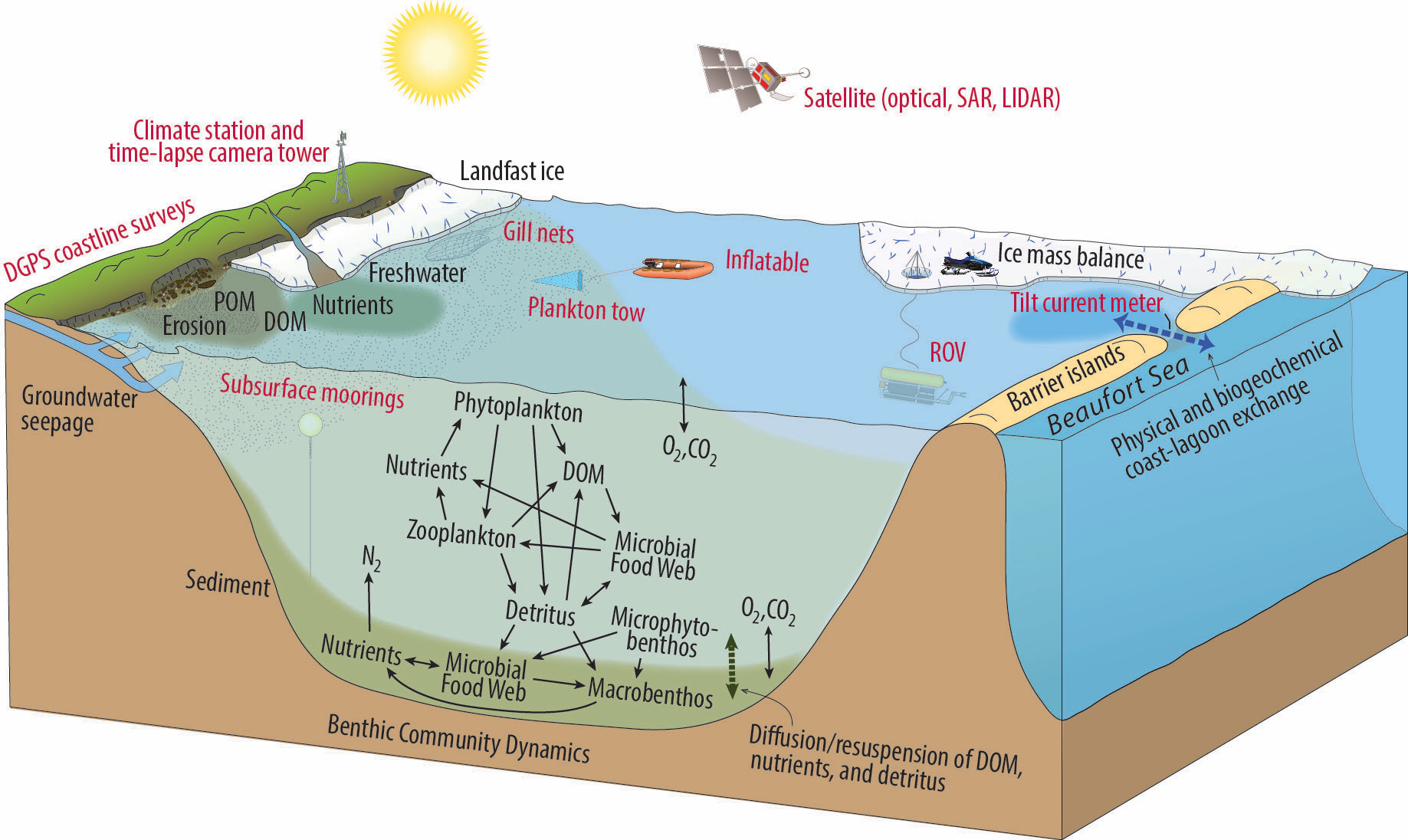 Beaufort Lagoon Ecosystems LTER | Crump Laboratory