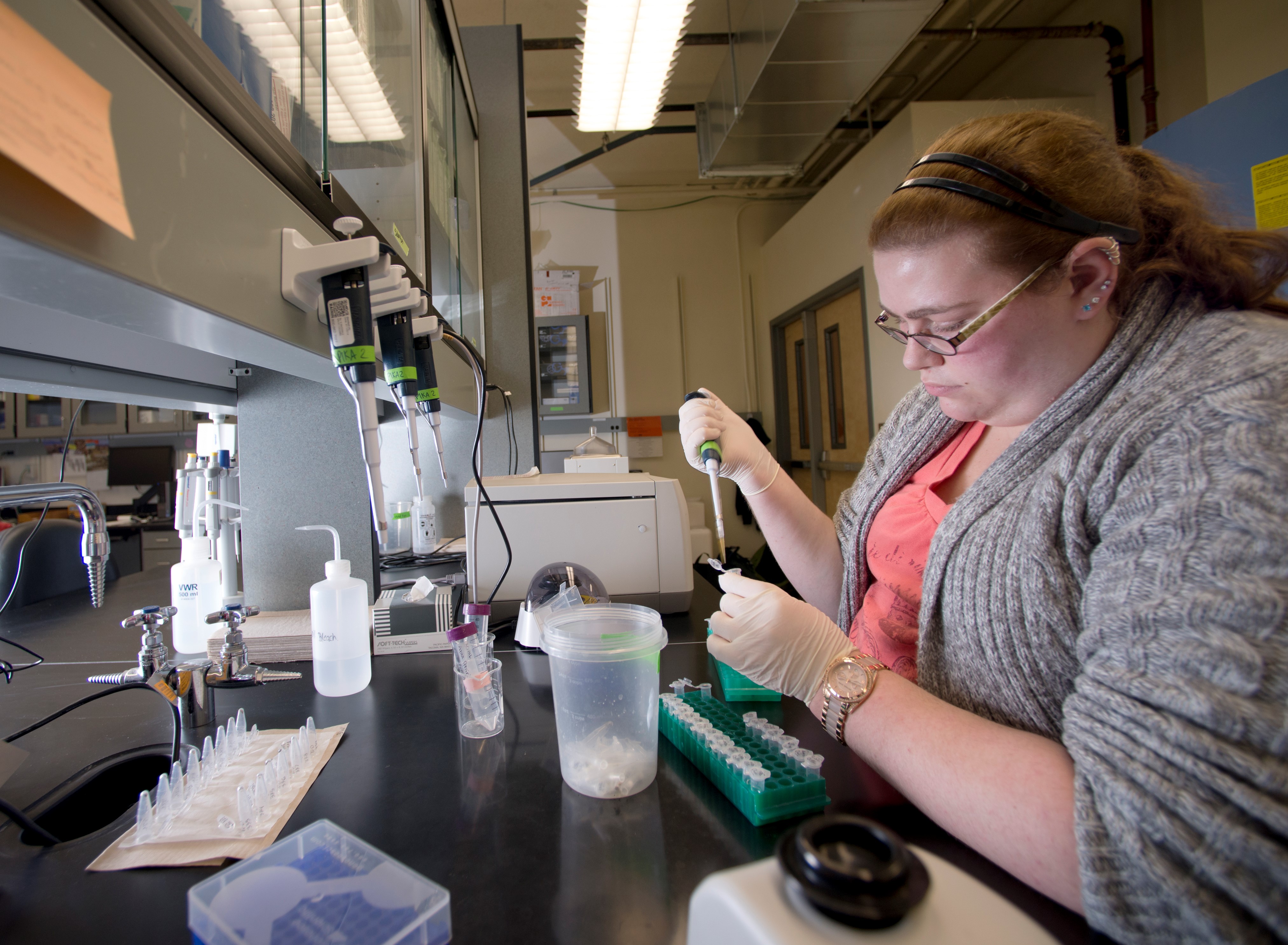 Madison Corbin extracting deer DNA « Epps Lab