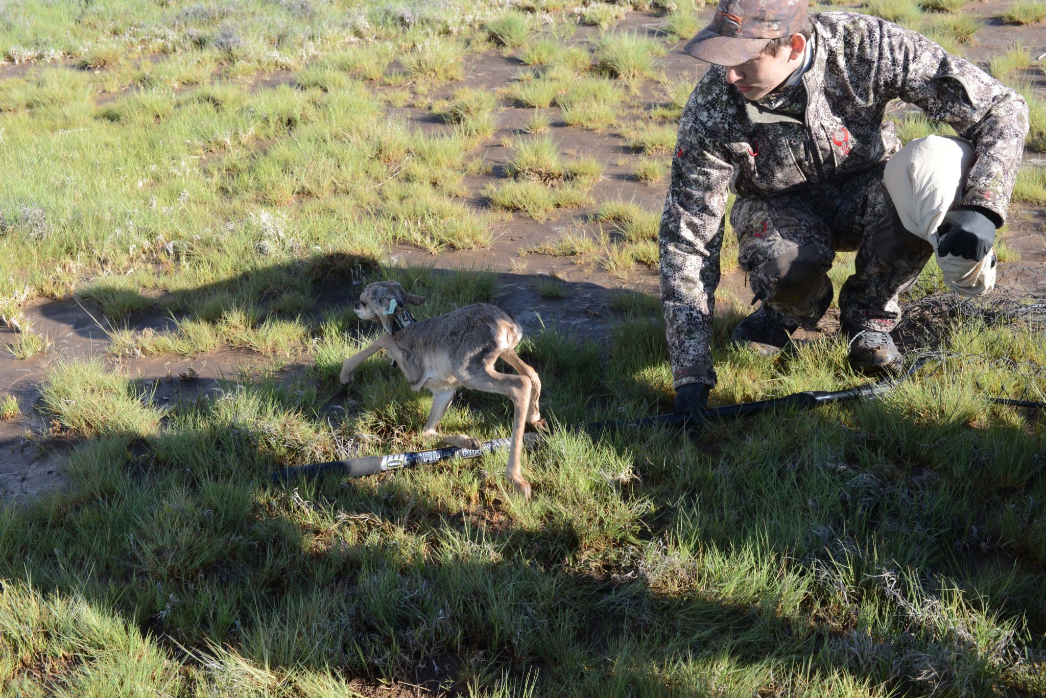 Colton Wise, Ph.D. candidate « Epps Lab