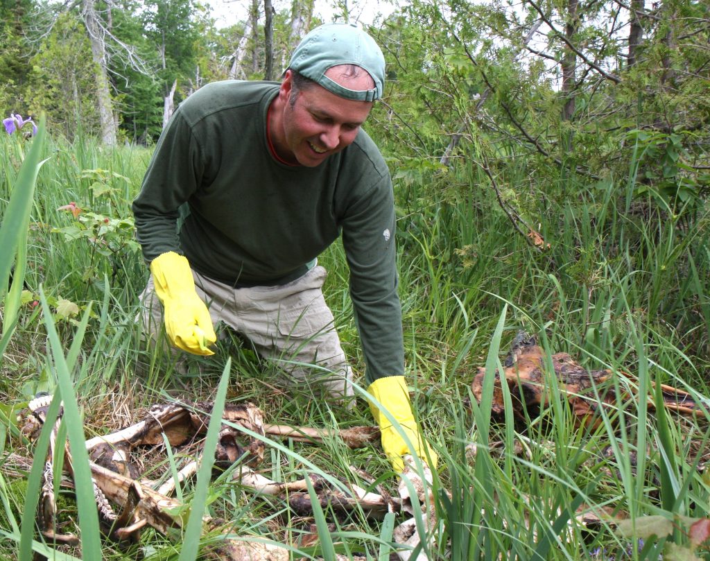 Connective Tissue – Terra Magazine