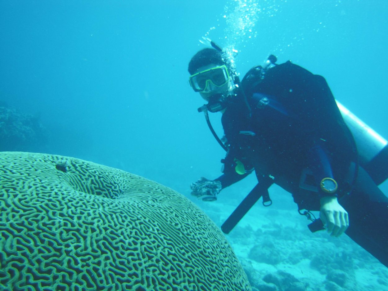 Jake Tepper: “Coral reefs are dying.” – Terra Research