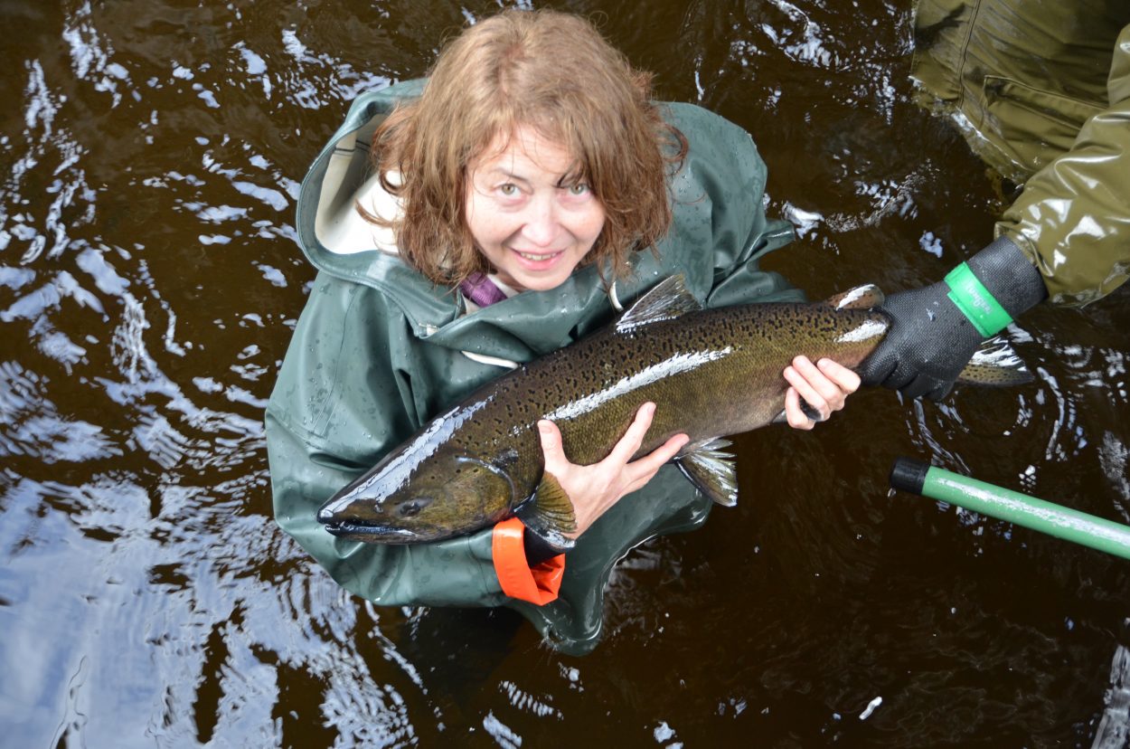 Thrashing Around at the Fish Trap – Terra Magazine