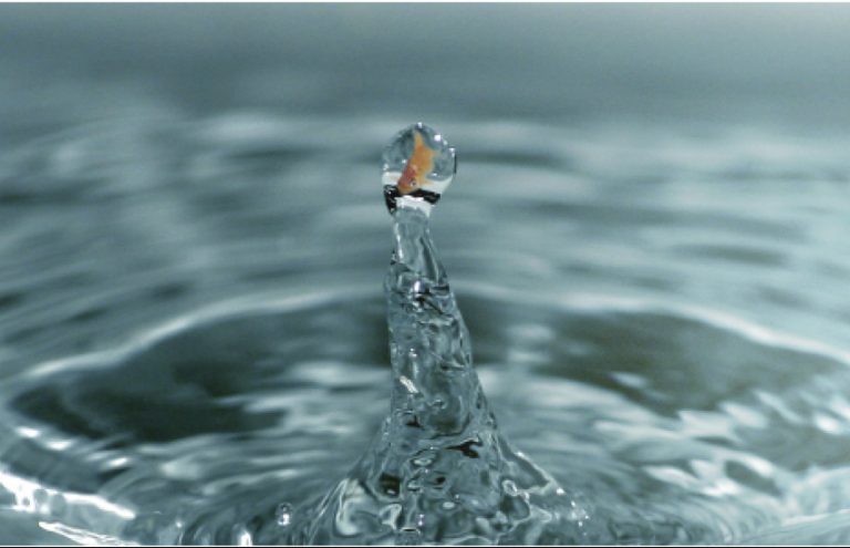 Broader Impacts – Terra Magazine