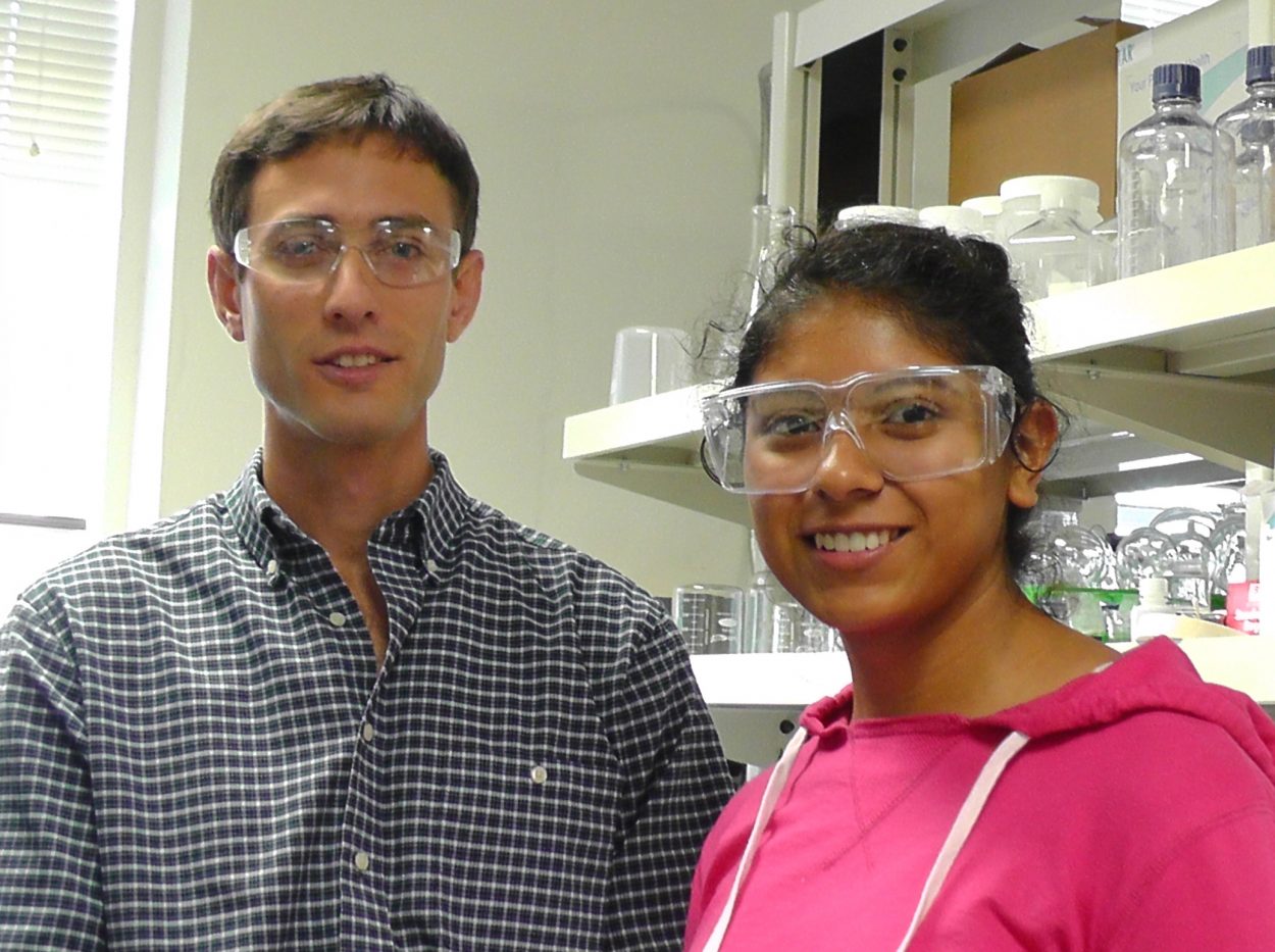 Chain of Mentorship – Terra Magazine