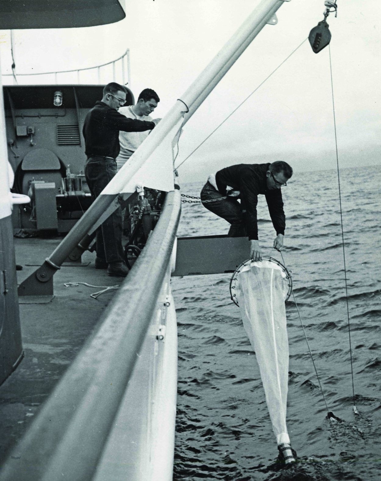 Towing the Line – Terra Magazine