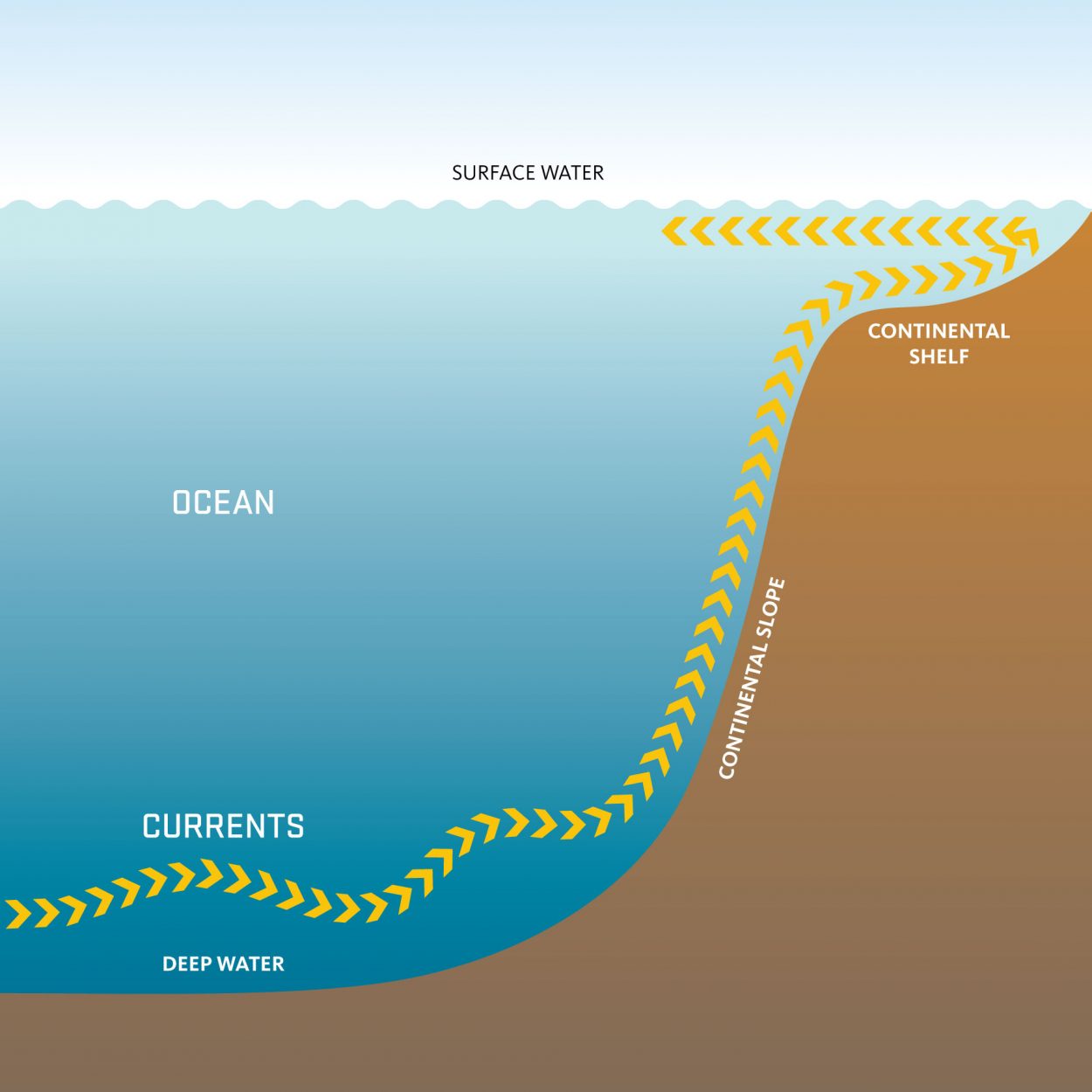 The Oregon Ocean Acid Test – Terra Magazine
