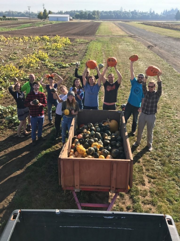 In Praise of Squash – Terra Magazine