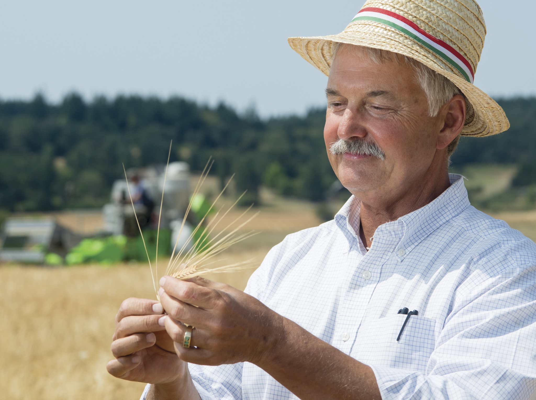 The Road to Plenty – Terra Research