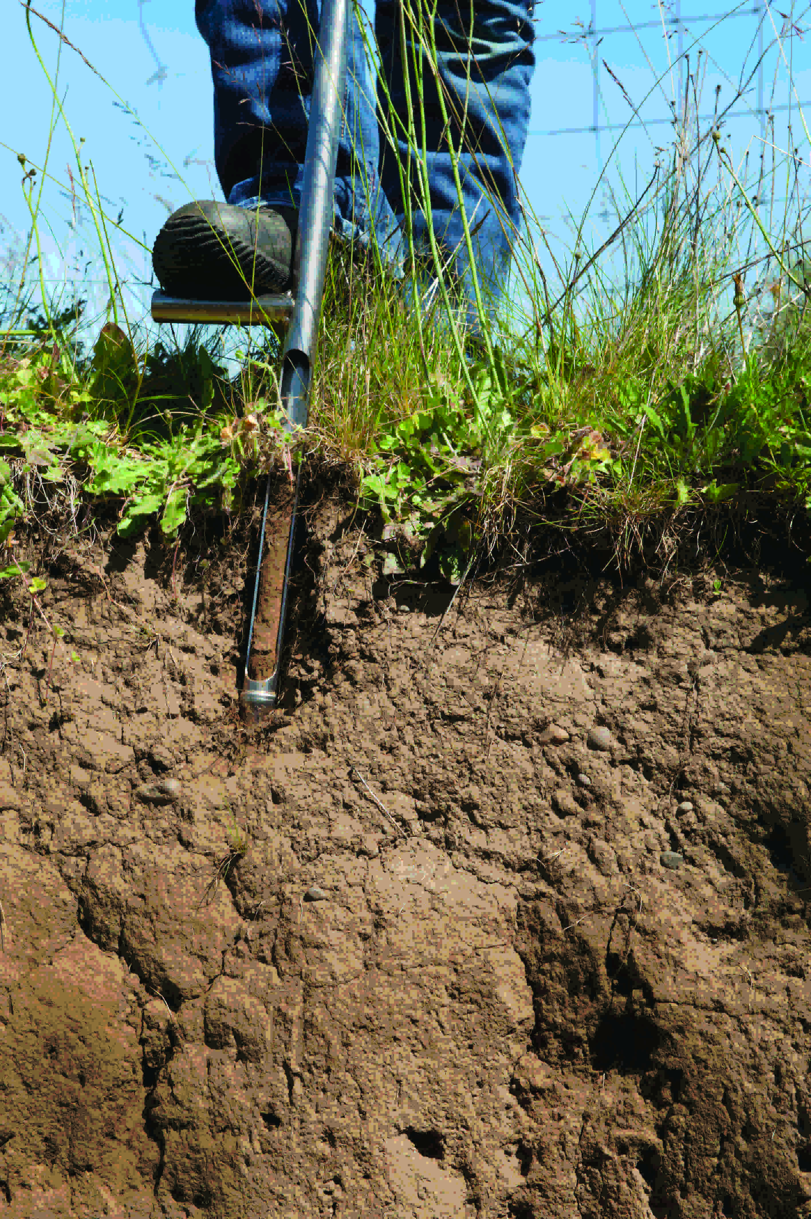 Cut away view of soil sampling probe – Terra Magazine