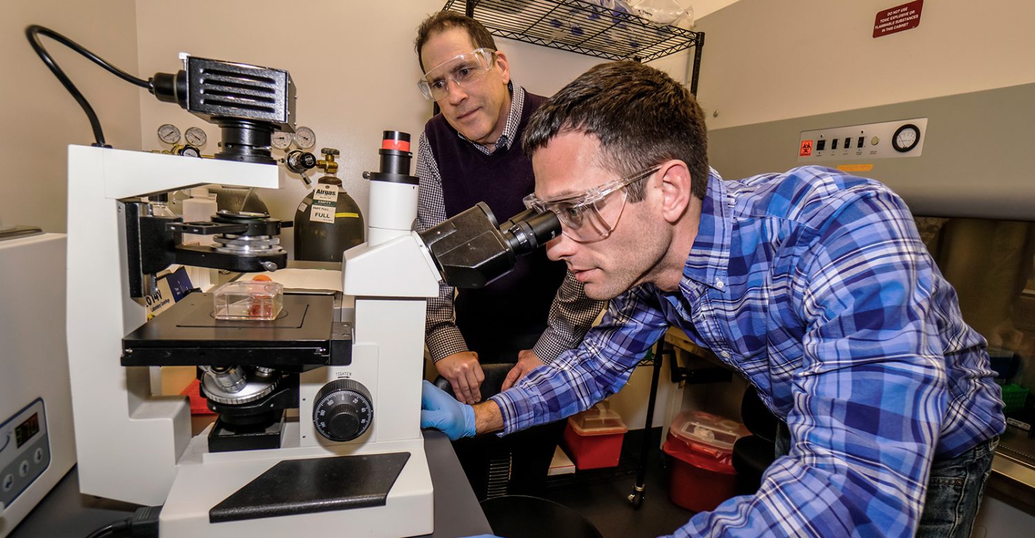 THE PROMISE OF ORGAN PRESERVATION – Terra Magazine