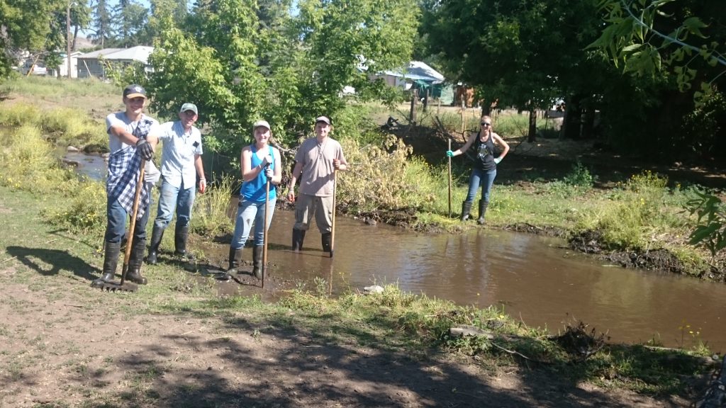 The Importance to Cleaning Ditches | Alternative Forage Species ...