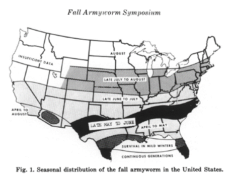 Fall Armyworm or Just…Armyworms in Fall? « Cutworm Central