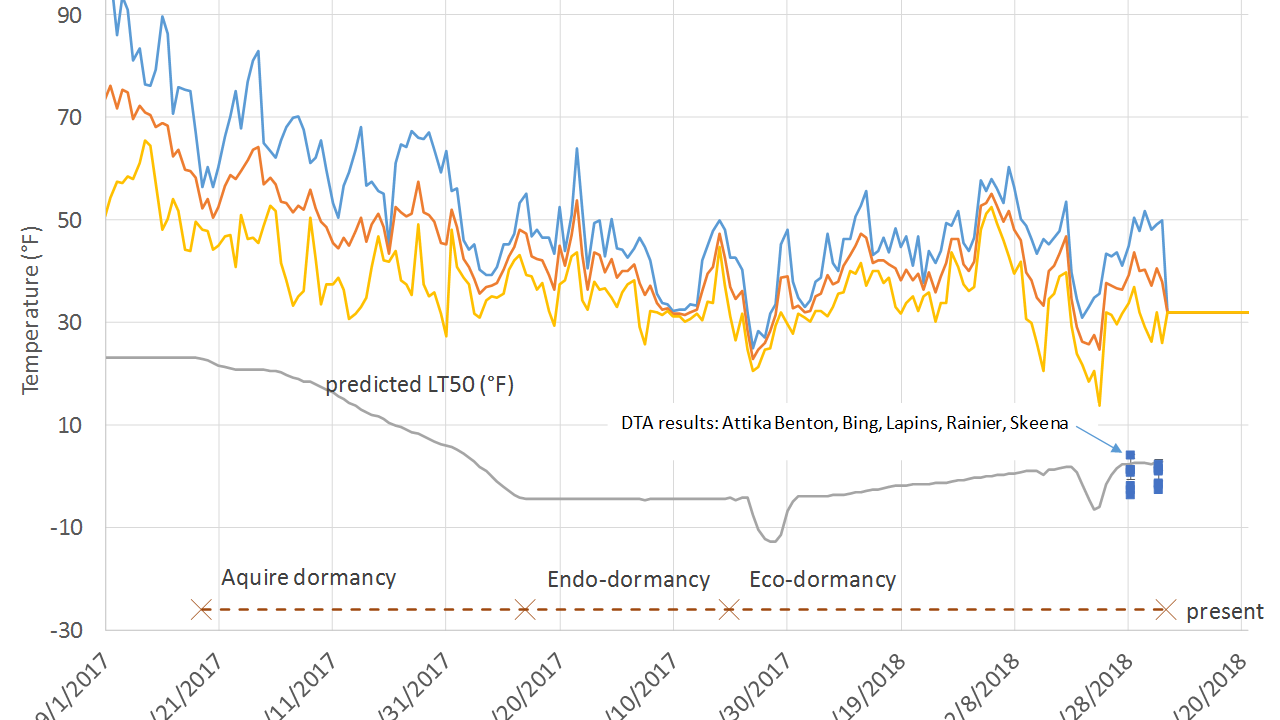Sweet Cherry Development in the Pacific Northwest « Temperature ...