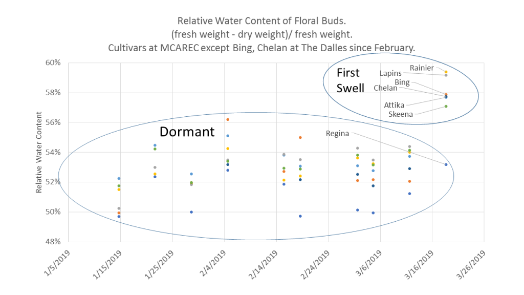 Sweet Cherry Development in the Pacific Northwest « Temperature ...
