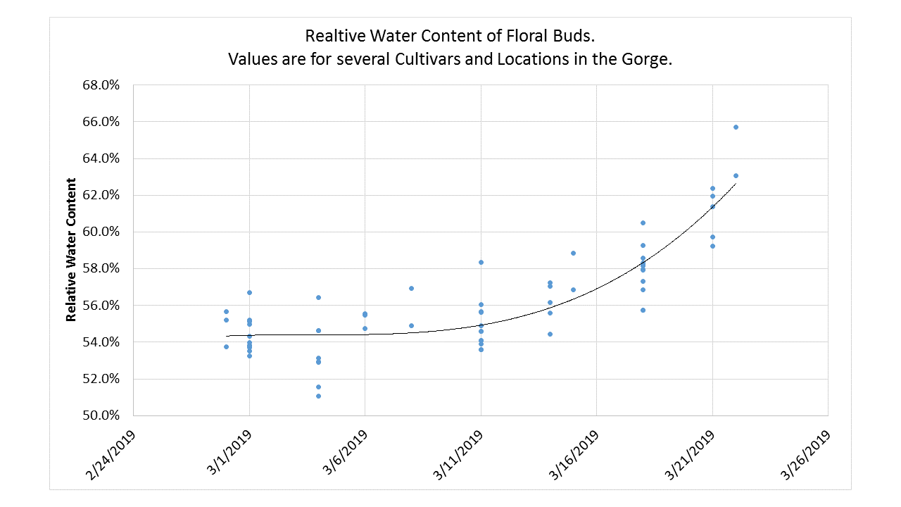 Sweet Cherry Development in the Pacific Northwest « Temperature ...