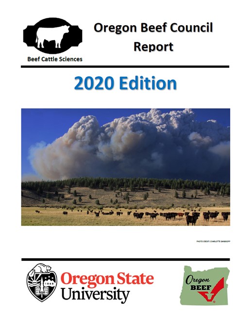 Research Reports « Beef Cattle Sciences