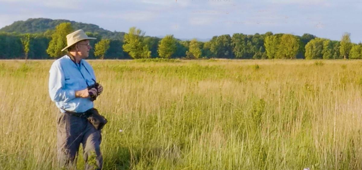 Wolves and the Warning to Humanity: What can you do? « Environmental ...