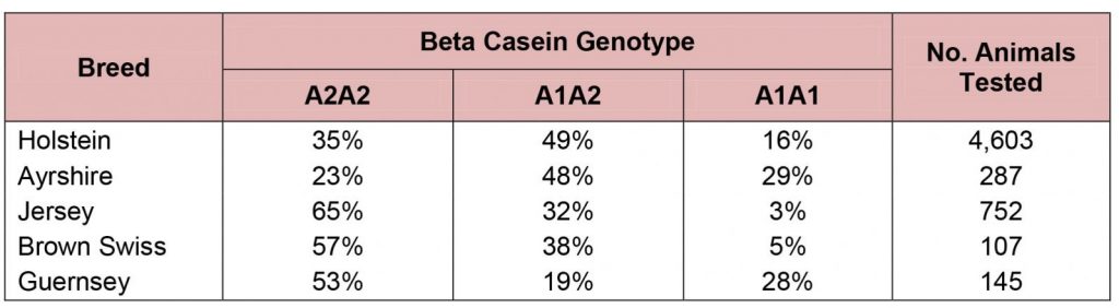 What’s the deal with A2 milk? « Dairy Bearing