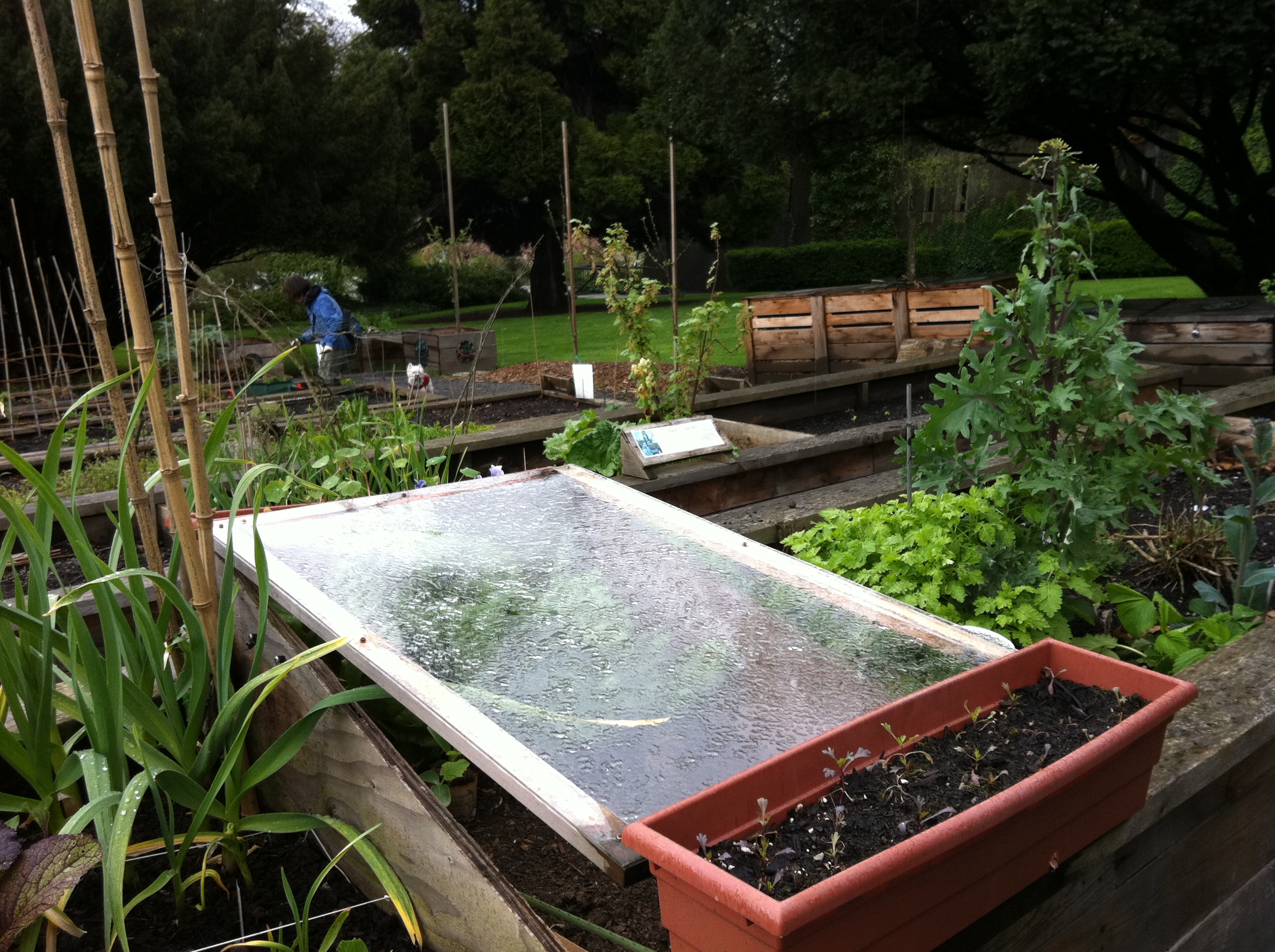 Why Study Gardens? – Garden Ecology Lab