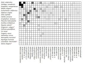 Native plants and pollinators – 2018 field update – Garden Ecology Lab