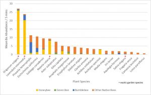 2019 Native Plant Field Season Update – Garden Ecology Lab