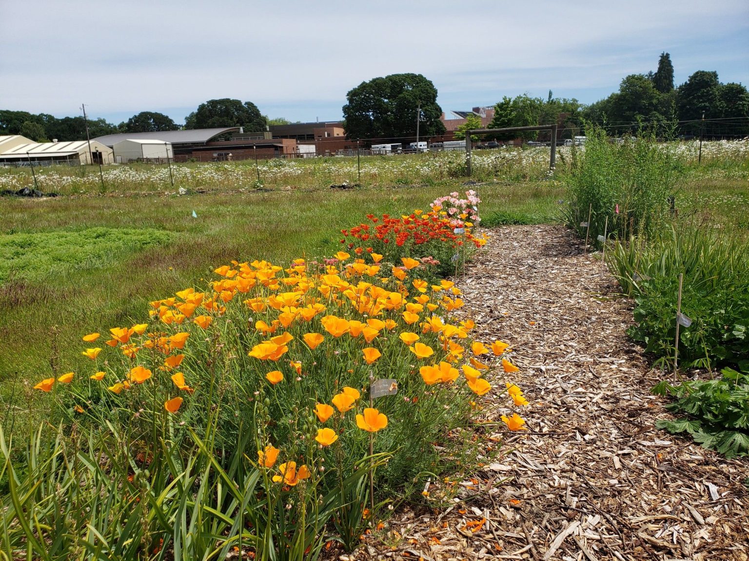 Garden Ecology Lab | Socio-ecological research in urban and suburban ...