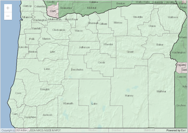 Top 10 Oregon Native Plants for Pollinators: Week 1 – Garden Ecology Lab