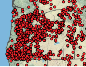 oregon sunshine | Garden Ecology Lab