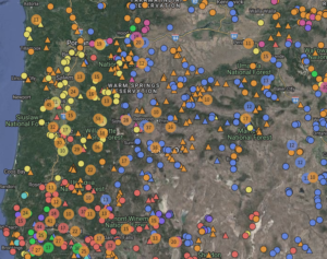 oregon sunshine | Garden Ecology Lab