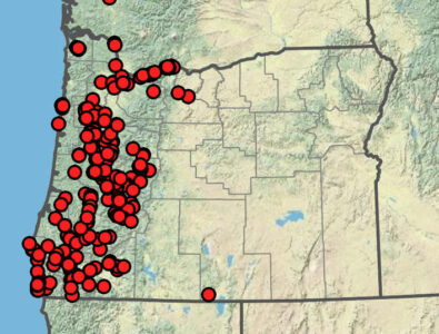 Top 10 Oregon Native Plants for Pollinators: Week 7 – Garden Ecology Lab