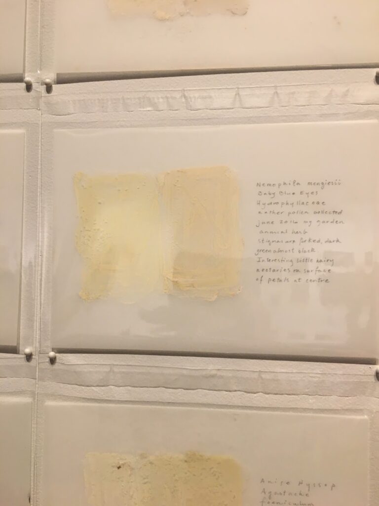 Top 10 Oregon Native Plants for Pollinators: Week 8 – Garden Ecology Lab